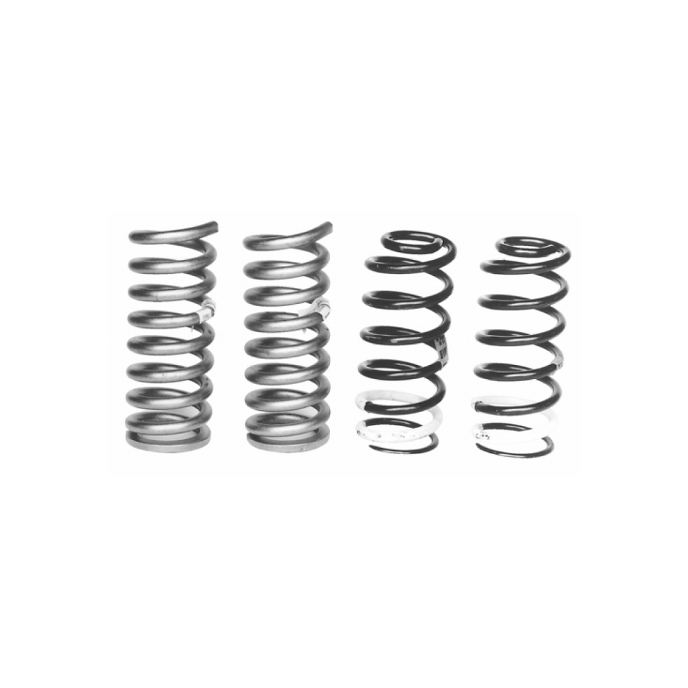 Ford Racing 1979-2004 Mustang Front/Rear Spring Kits | Redbird Speed
