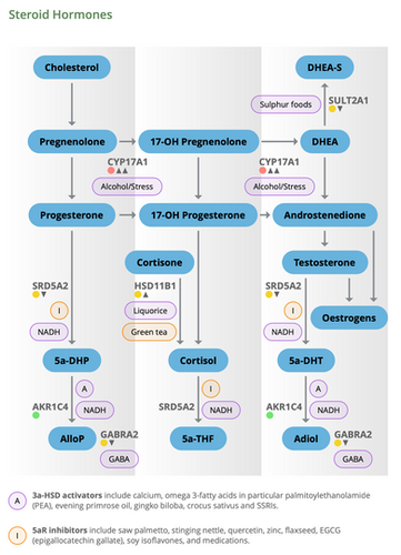 DNA Hormone Test & Plan