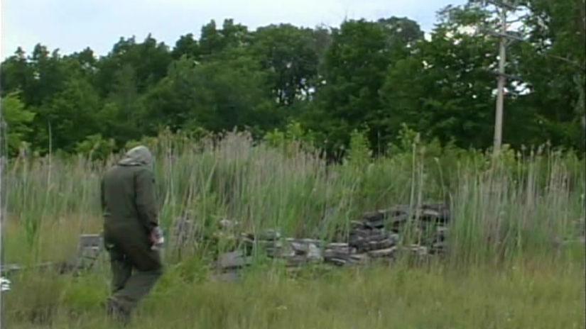 Gore Movies | Very Fine Crap Videos | United States