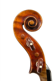 stringed instruments | italy | bologna | marco fabio brunelli