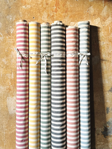 Parasol Stripe | THE CLOTH SHOP