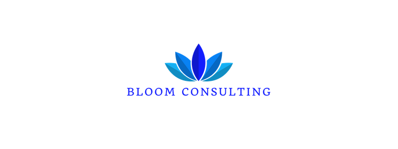 Bloom Consulting LLC - Home