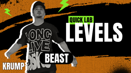 Beast | Levels | 4 Pack | The Beast Camp