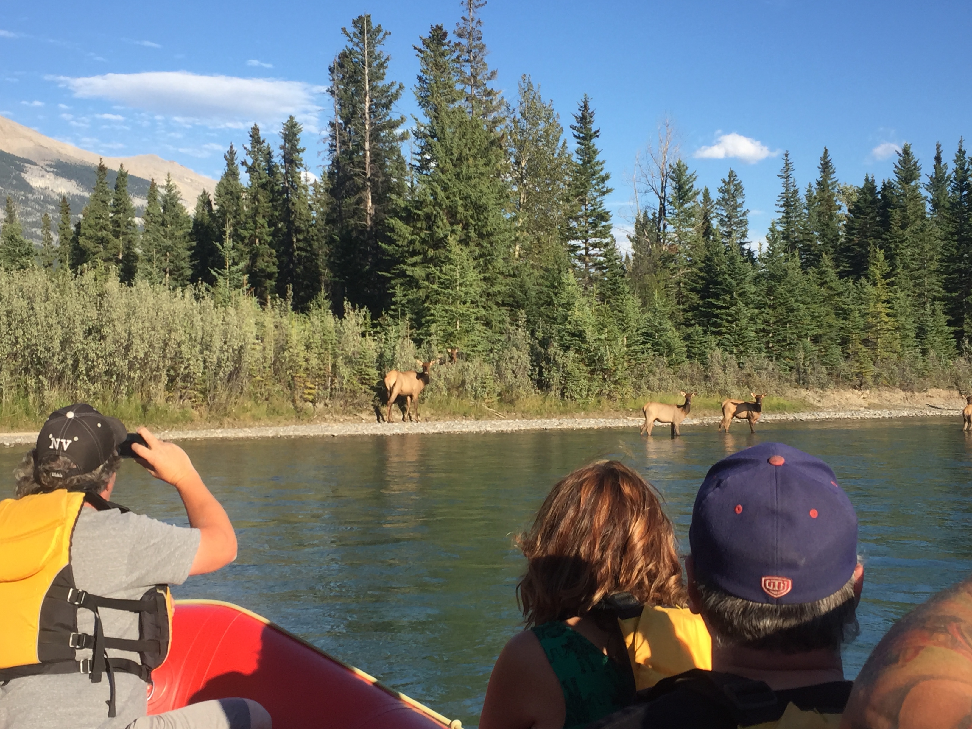 CANMORE RAFT TOURS | Scenic River Floats in the Rockies