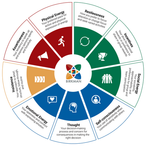 Birkman Personality Assessment | EZ Leadership