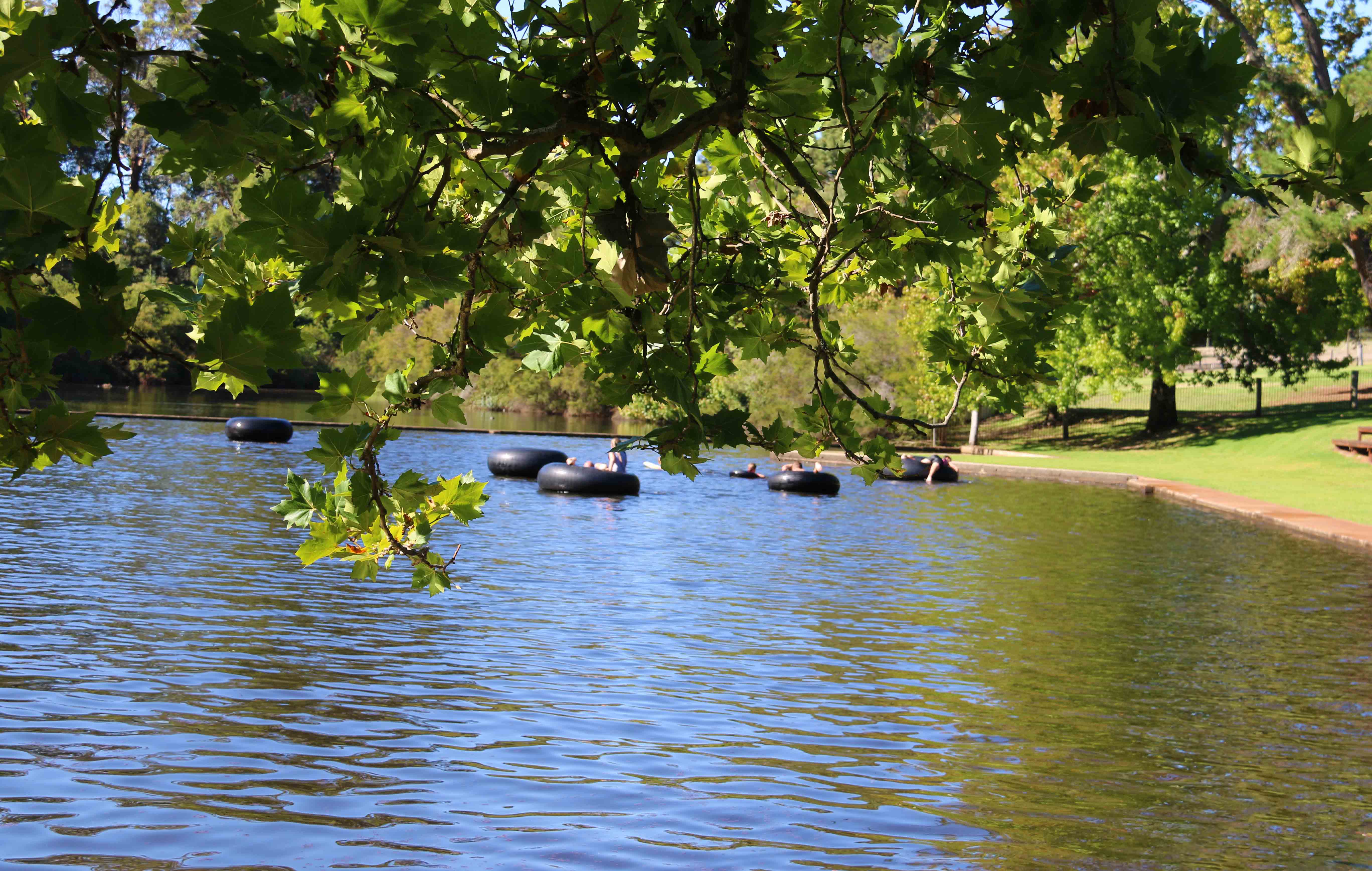 About | Fontys Pool | Manjimup | Australia