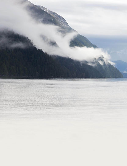 Glacial Fjord & Hot Springs Tour | BC Grizzly Tours