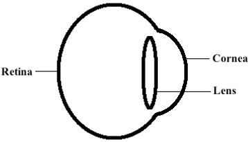 Principle Sight Defects Explained | Rouse Opticians Hull