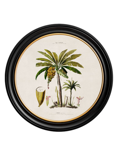 Large Round Art Banana Palm Tree | The Reigate Pop Up