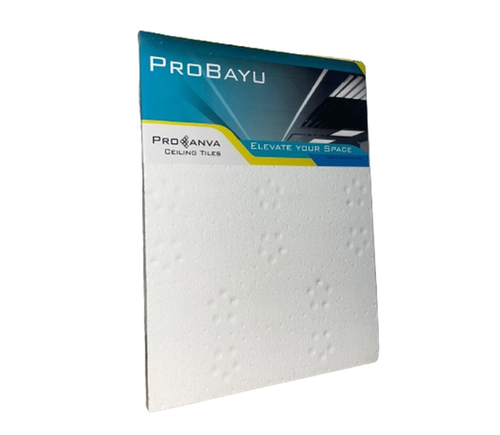 ProBayu | Fong Yi Industries