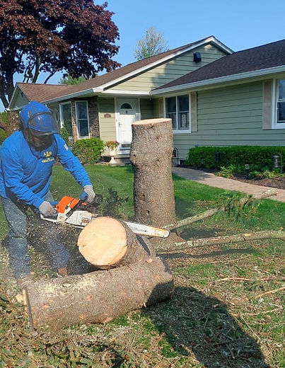 Home | Ash Tree Care & Landscaping