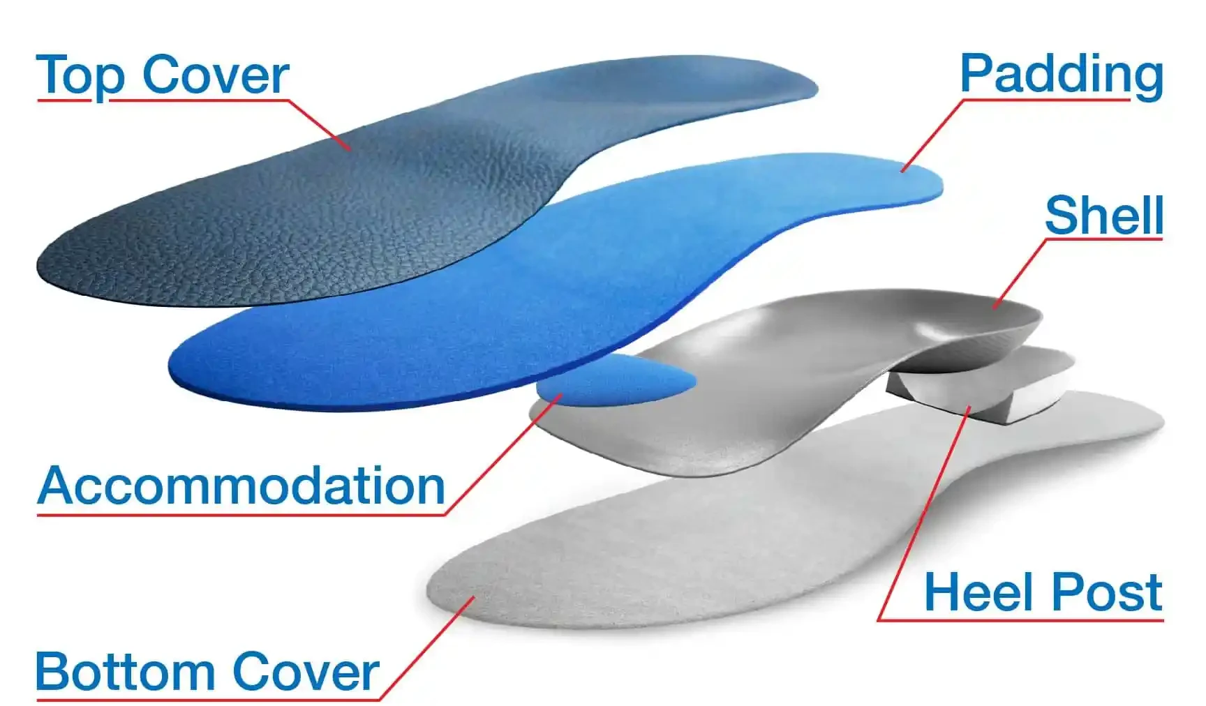 Anatomy of an Orthotic and Materials | Forward Motion