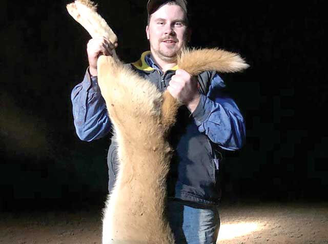 Roo shooters part of wild dog control