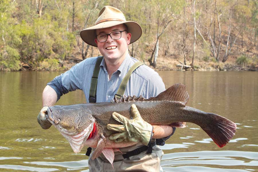 Murray Cod season reopens