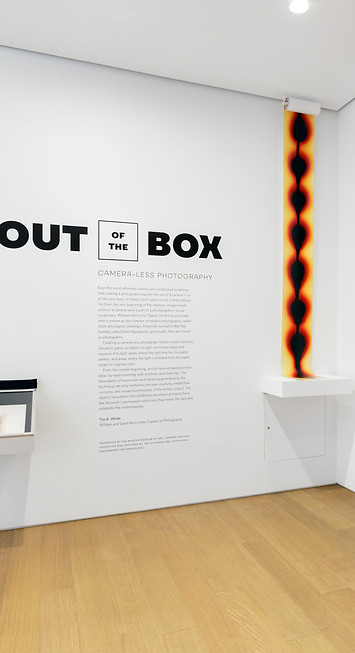 Sungazing Scroll | Kei Ito