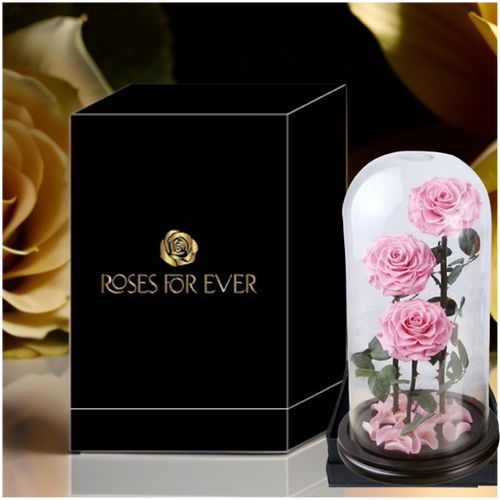 Triple Stem Everlasting Rose Pink | Wholesale Florist Supplies Australia