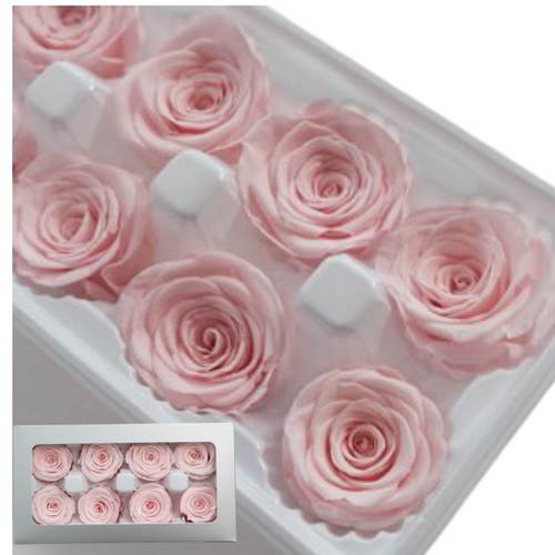 Rose Heads Soft Pink - Buy Preserved Roses | Offshore Florist Supplies
