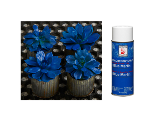 Design Master Blue Marlin | Offshore Florist Supplies