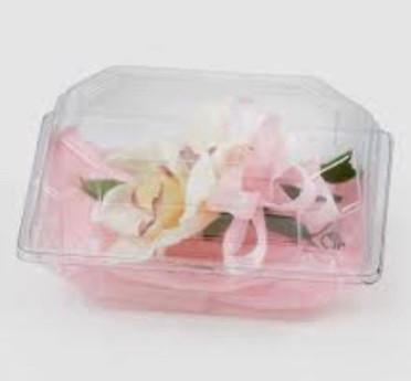 Corsage Box Clam | Offshore Florist Supplies