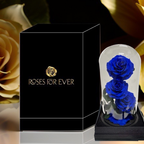 Triple Stem Everlasting Rose Royal Blue | OFS