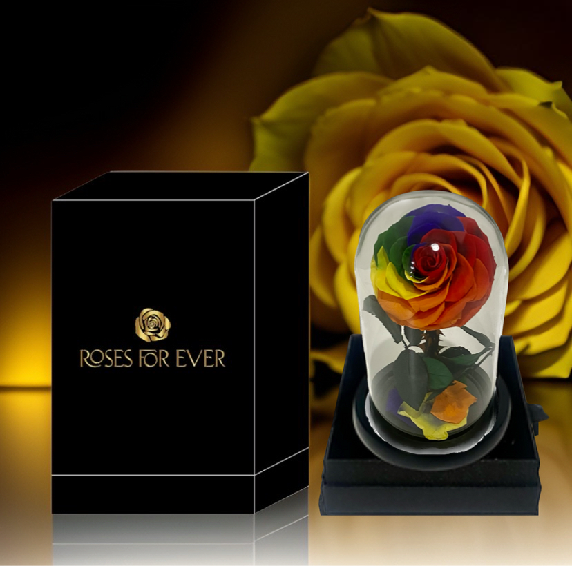 Single Stem Everlasting Rose Rainbow | OFS