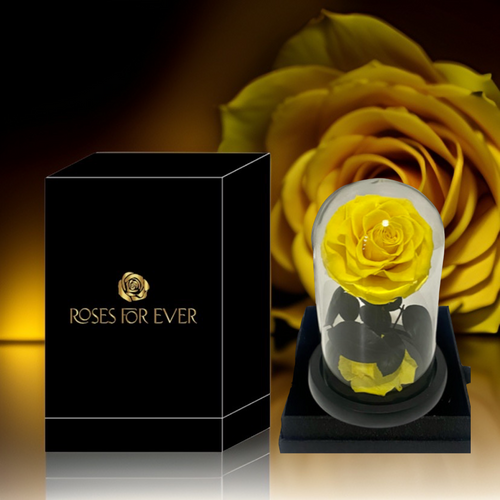 Single Stem Everlasting Rose Yellow | Wholesale Florist Supplies ...