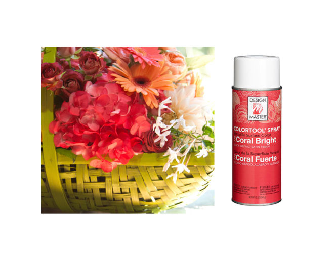 Design Master Spray | OFS