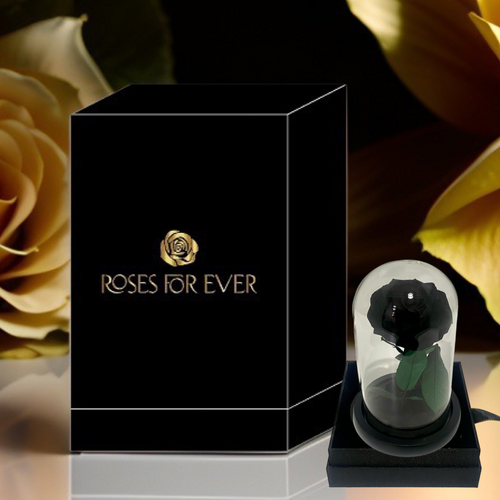 Everlasting Rose Black | Offshore Florist Supplies