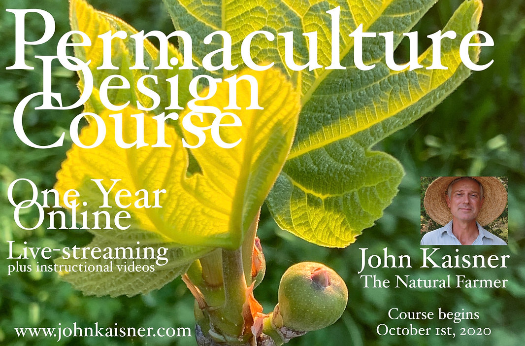 John Kaisner *Official Site*