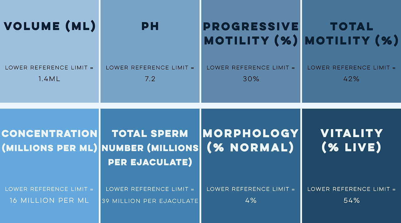 SEMEN ANALYSIS | Men's Health&Support