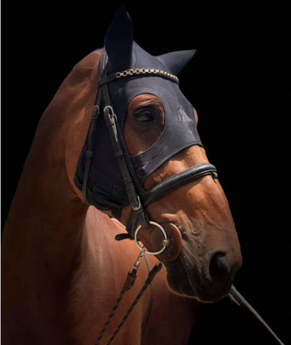 Fenwick Liquid Titanium Mask with Ears - Black - Medium | Equine Emporium