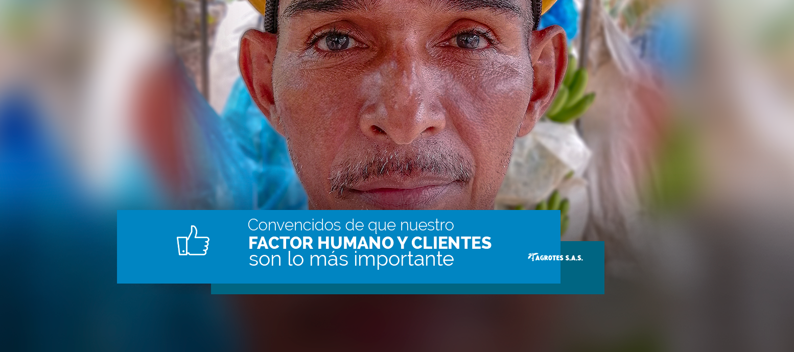 Exportadora Bananera | Agrotes S.A.S