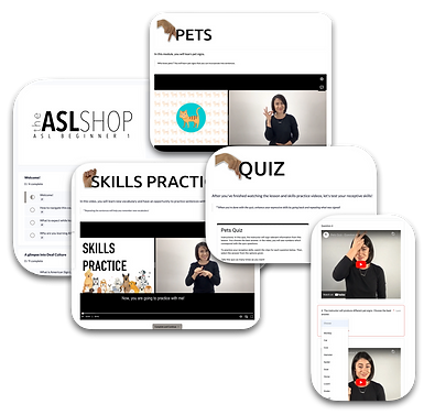 American Sign Language | The ASL Shop