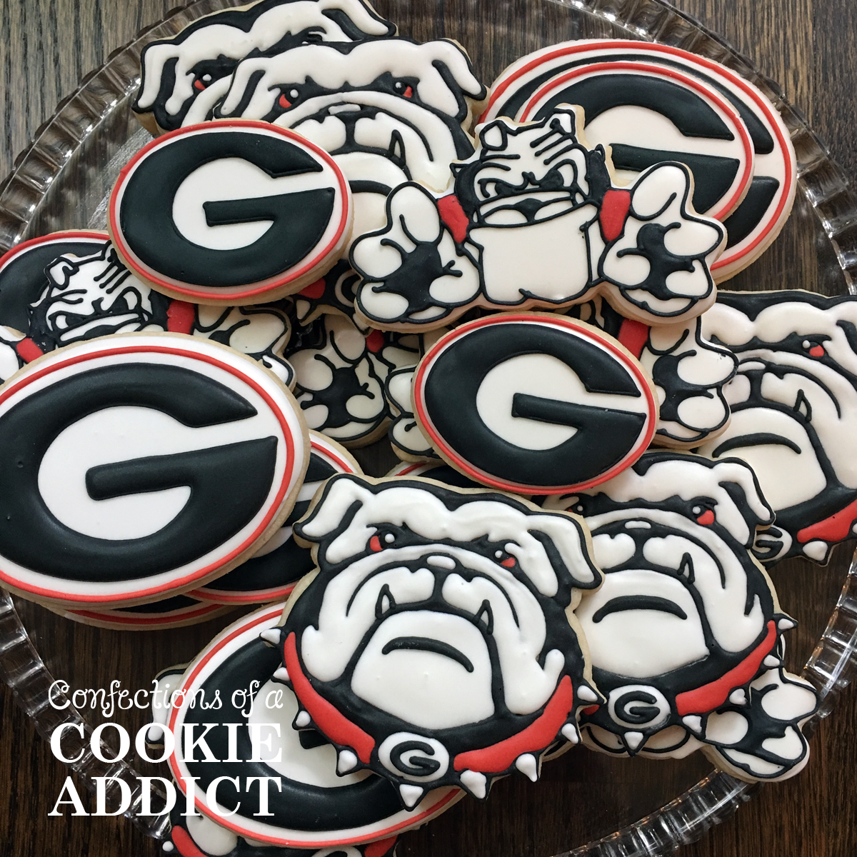 Georgia | acookieaddict