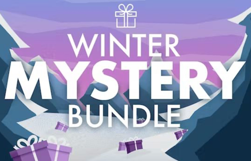 $25 Mystery Christmas Bundle | WWP