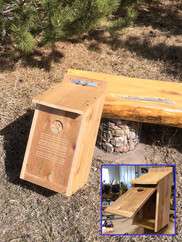 GALLERY | Nest & Sprout LLC