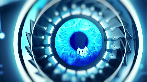 Sight Series | ex-sight