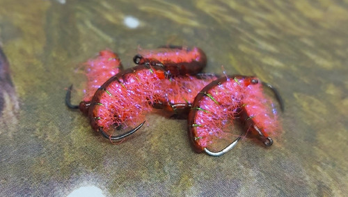 Disco Shrimp | Lost Lake Fly