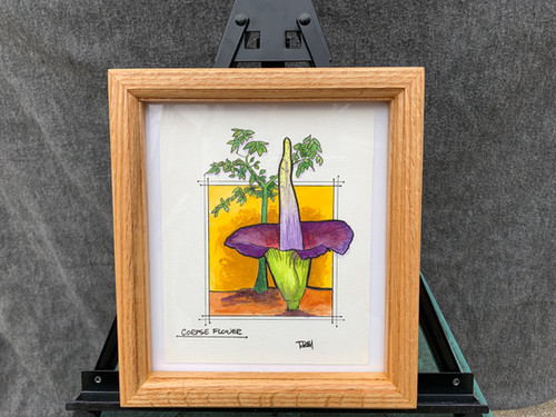 Corpse Flower Illustration | RWM Gallery