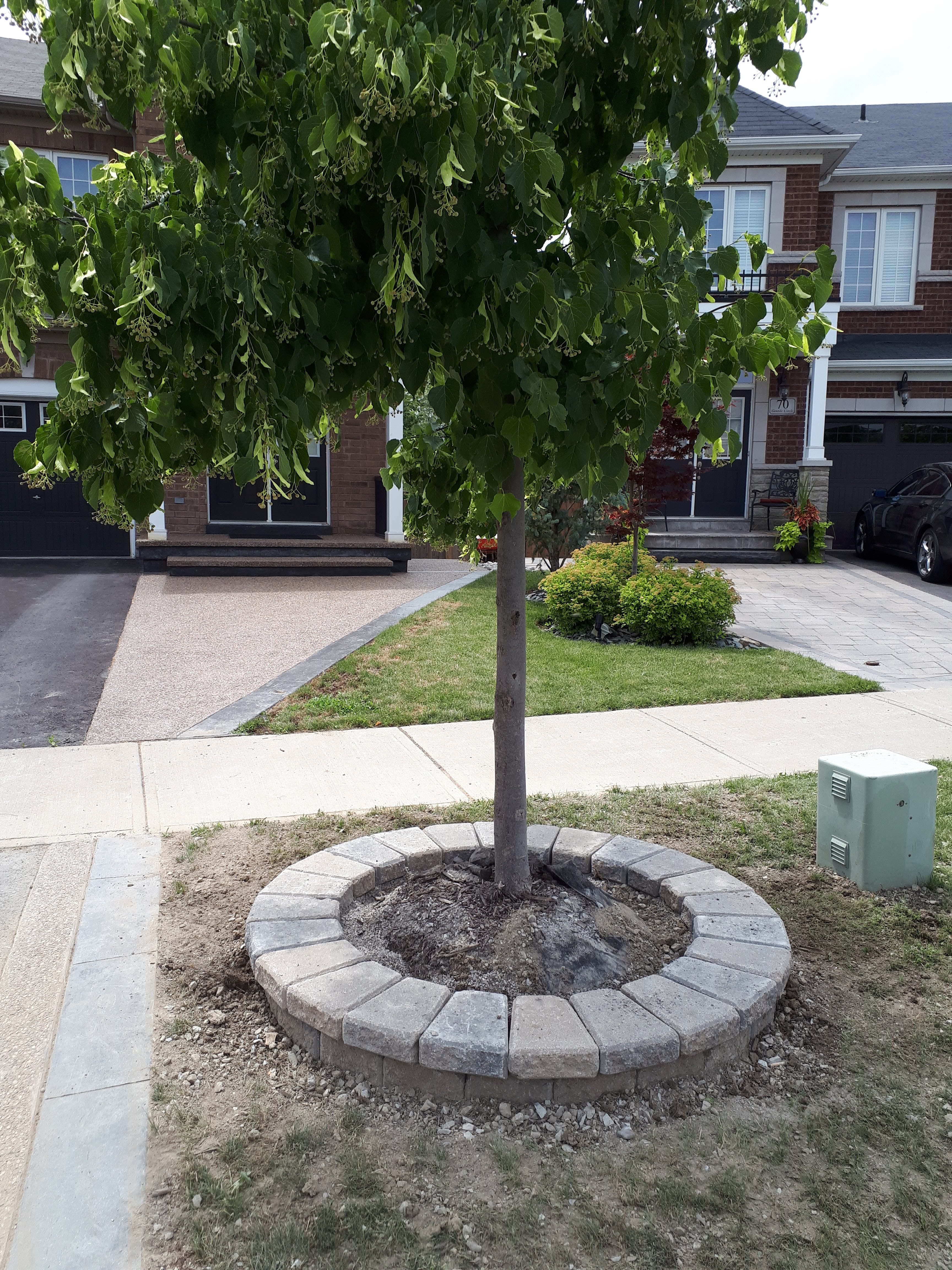 Landscape & Interlock | Gazeebro