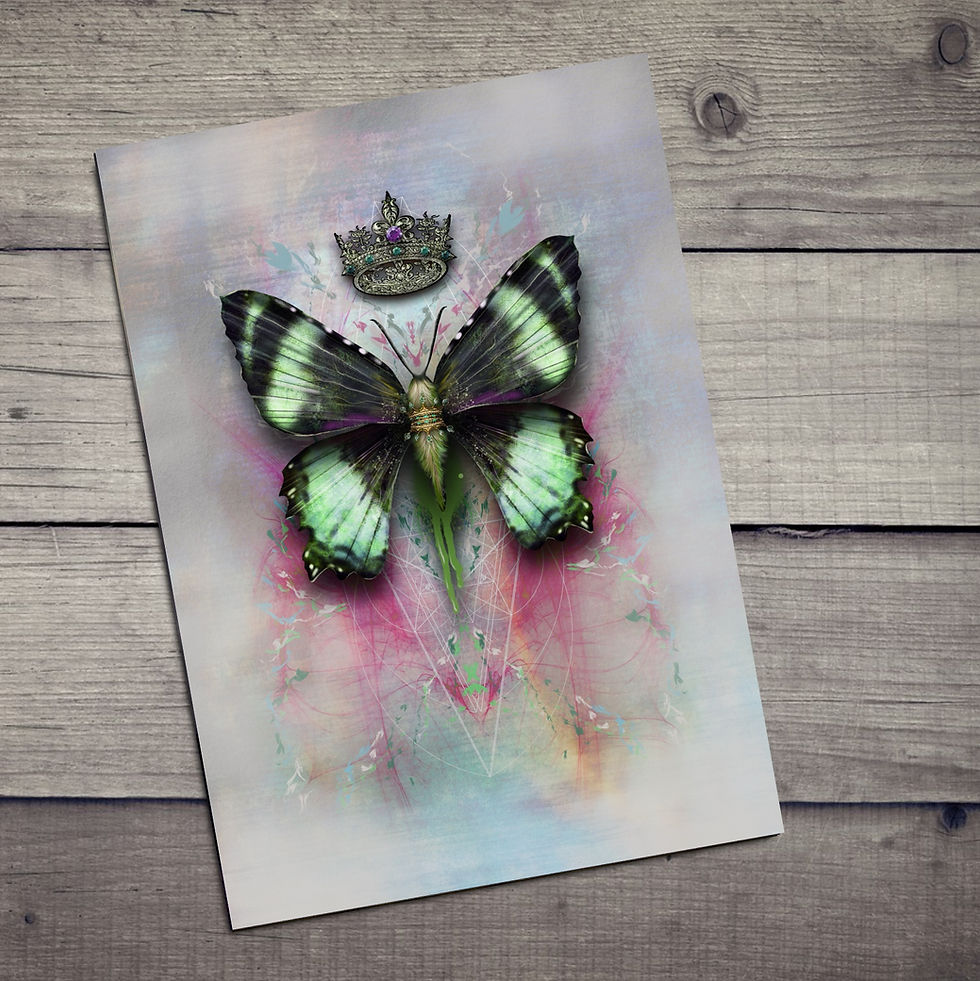 PRINTS | DOMINIC PHILLIPS ART