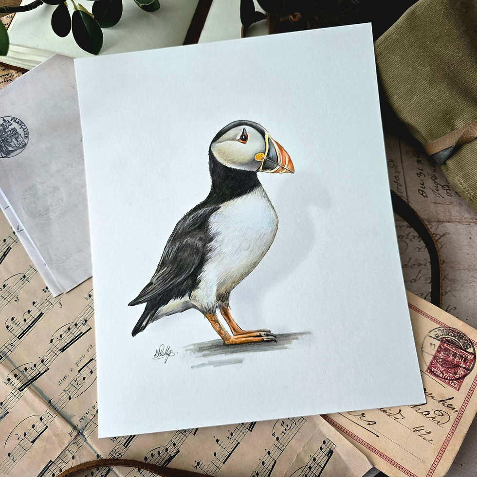 ORIGINALS | DOMINIC PHILLIPS ART