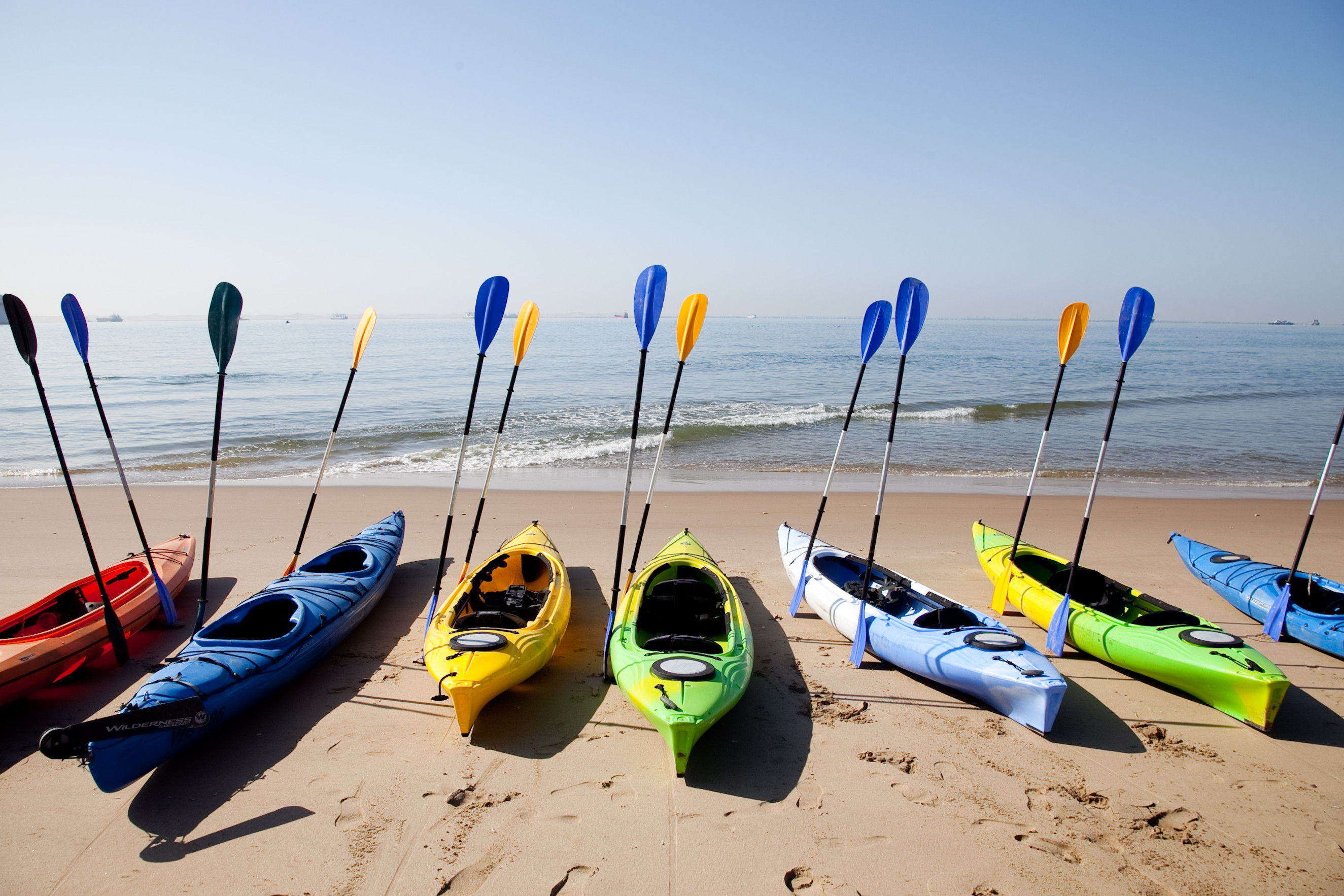 Kayak with the Seals| Sandwich Harbour Combo | Red Dune Safaris Namibia