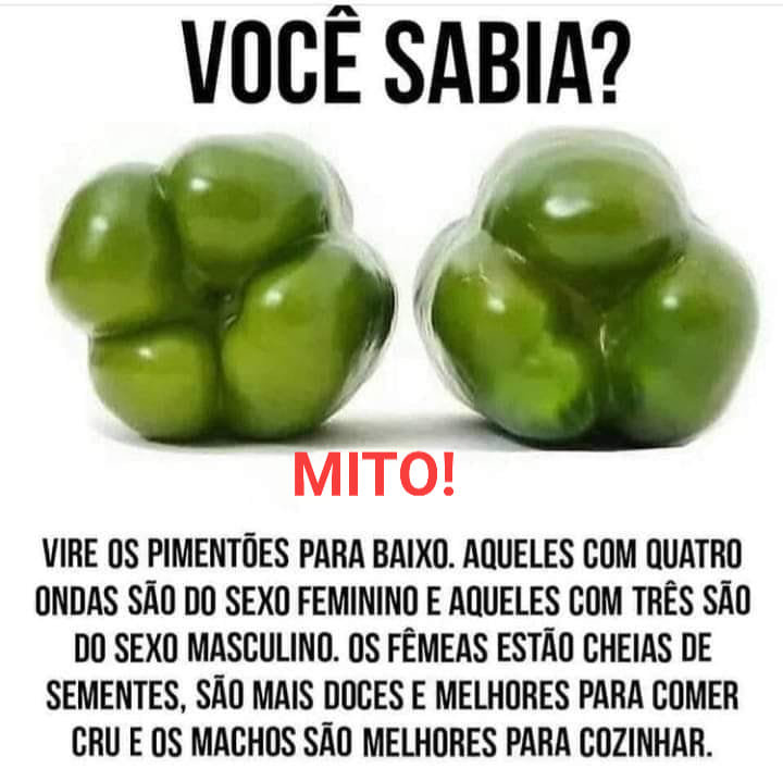 Pimentão "macho" e "fêmea"?