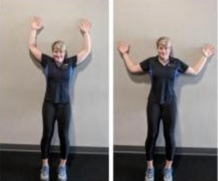 Exercises to Promote Good Posture and Body Mechanics