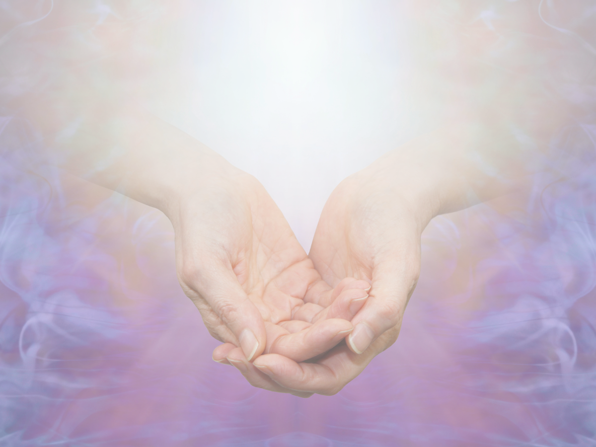 The Sacred Wound Healing Ritual with April | Enchanted Forest