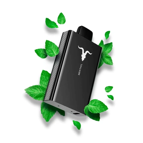 IGNITE V80 MENTHOL BLACK EDITION 8000 PUFFS 5% POD RECARGABLE USB-C ...