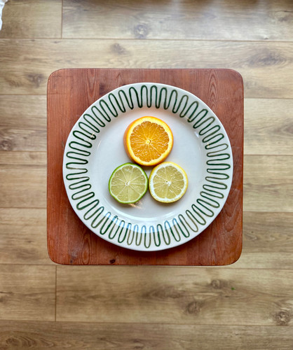 Wiggle Plate | Studio ERS