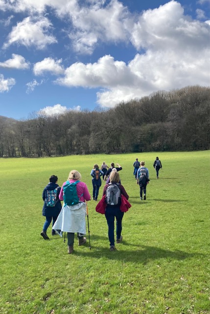 Step Into Wellness: 6-Week Countryside Walking Journey | Walk Hay