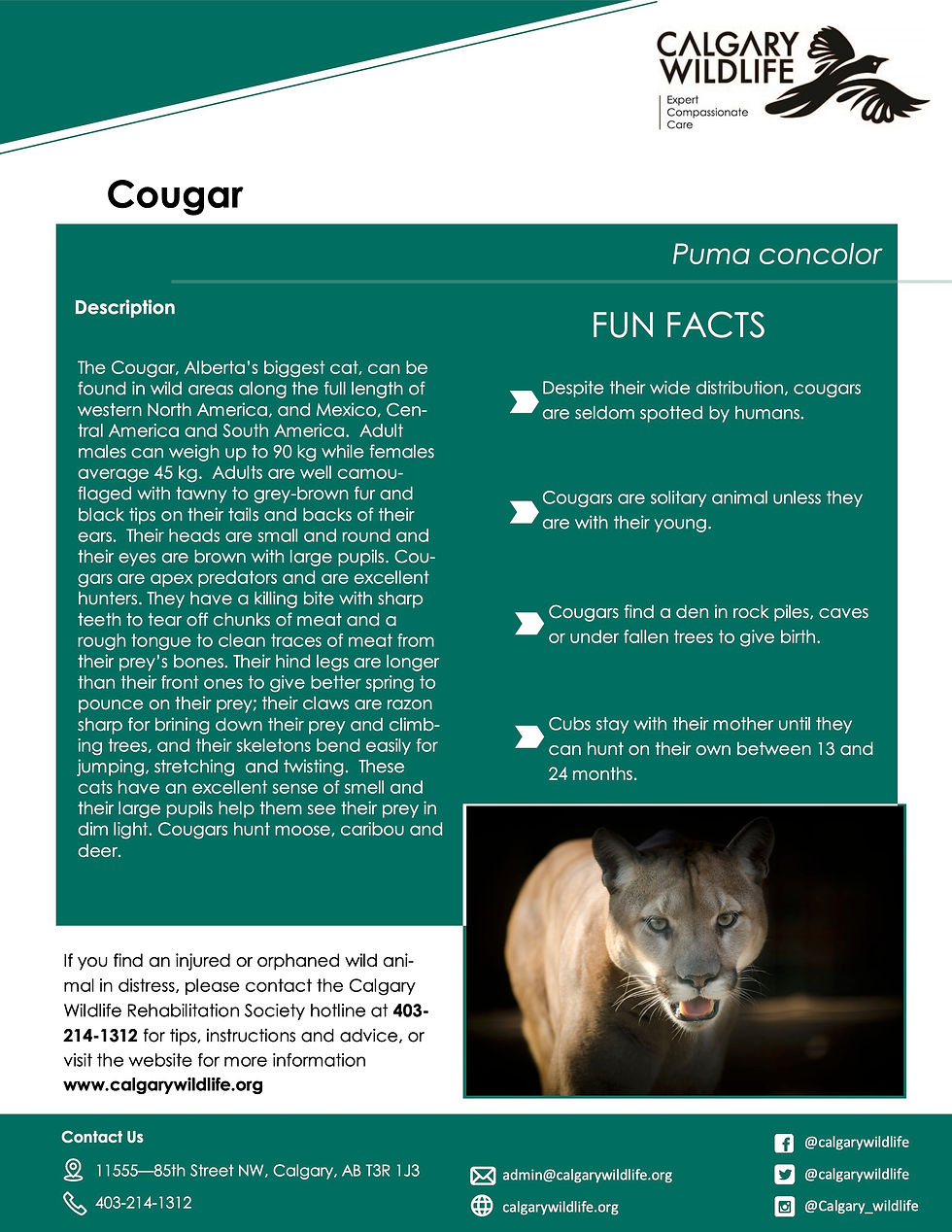 Resources And Articles Calgary Wildlife resources-and-articles-calgary-wildlife